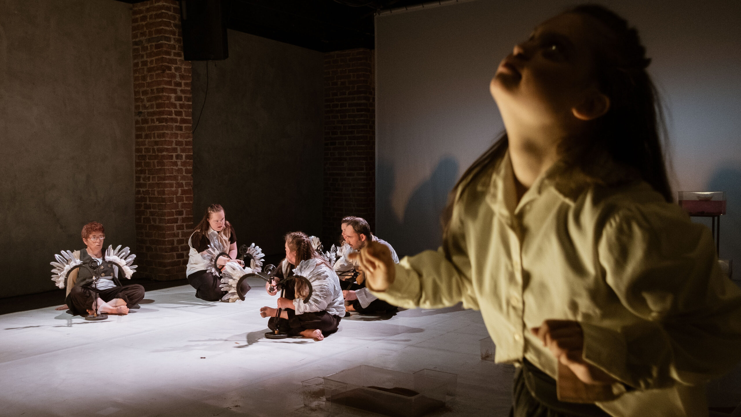 Čajka | Banská Bystrica